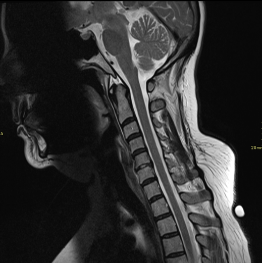 ProgramDetails - MSK Teaching Room